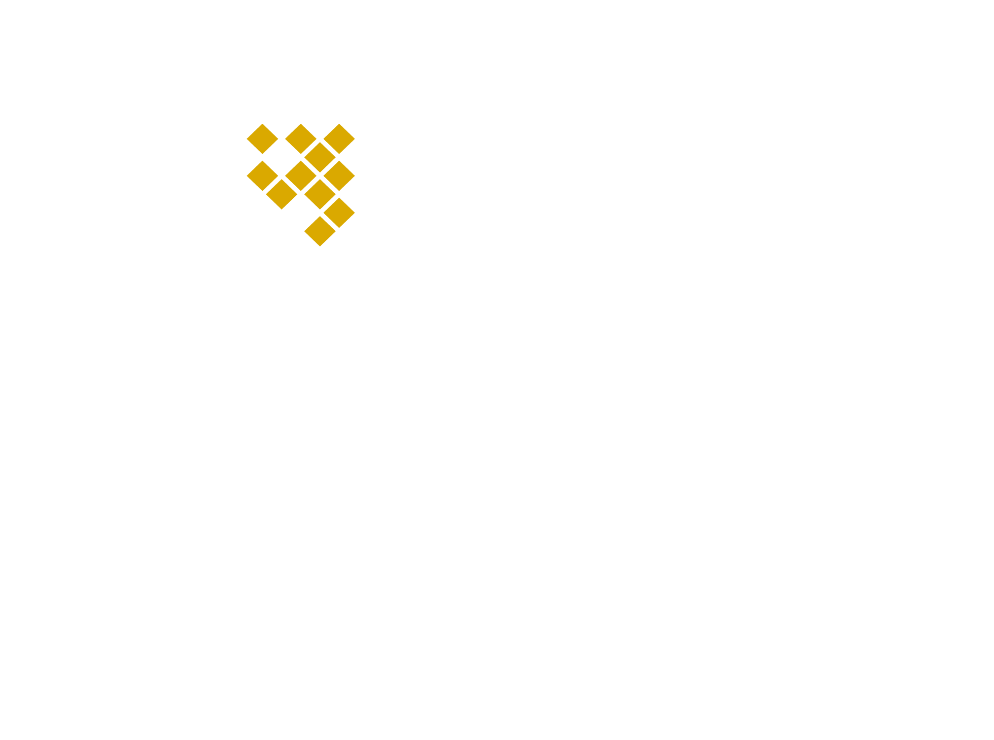 Vega Global - Onelan